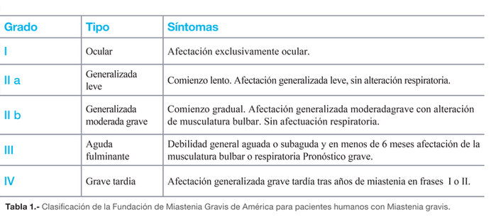 Probable Miastenia gravis seronegativa en un perro.