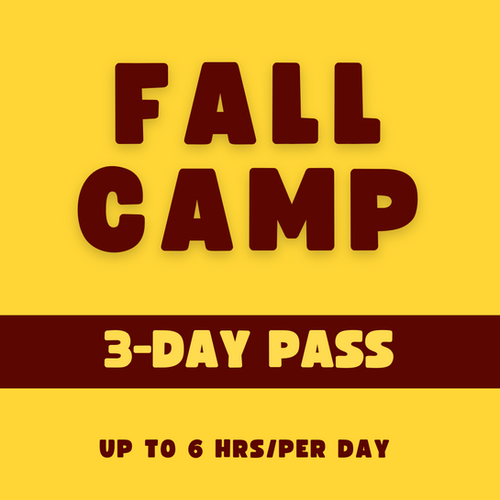 3-Day Pass to FALL CAMP | Studypage Learning