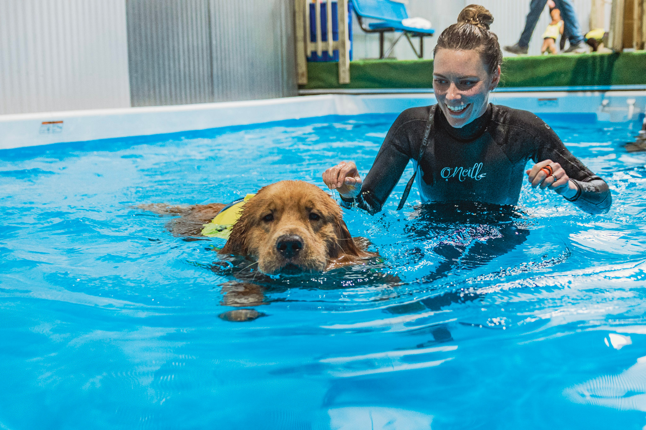 Dog Pool | Dog Tribe