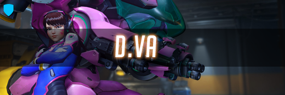Présentation de D.Va
