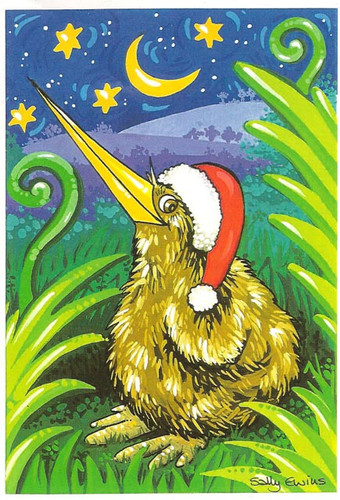 Kiwi Christmas Card | sallyewins
