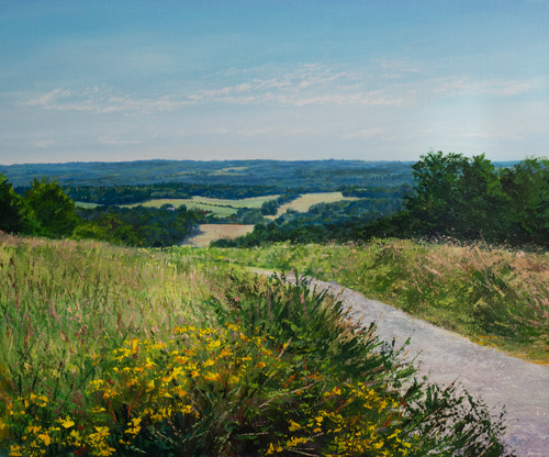 Wildflowers, Newlands Corner | mysite
