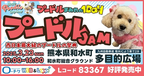 プードルJAM | DOG JAM | わんだふる