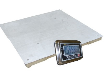 BWS Indicator with Stainless Steel Platform | Industrial weighing