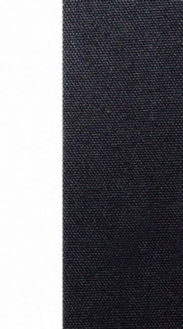 Willow: In Wall Speakers | XSCACE