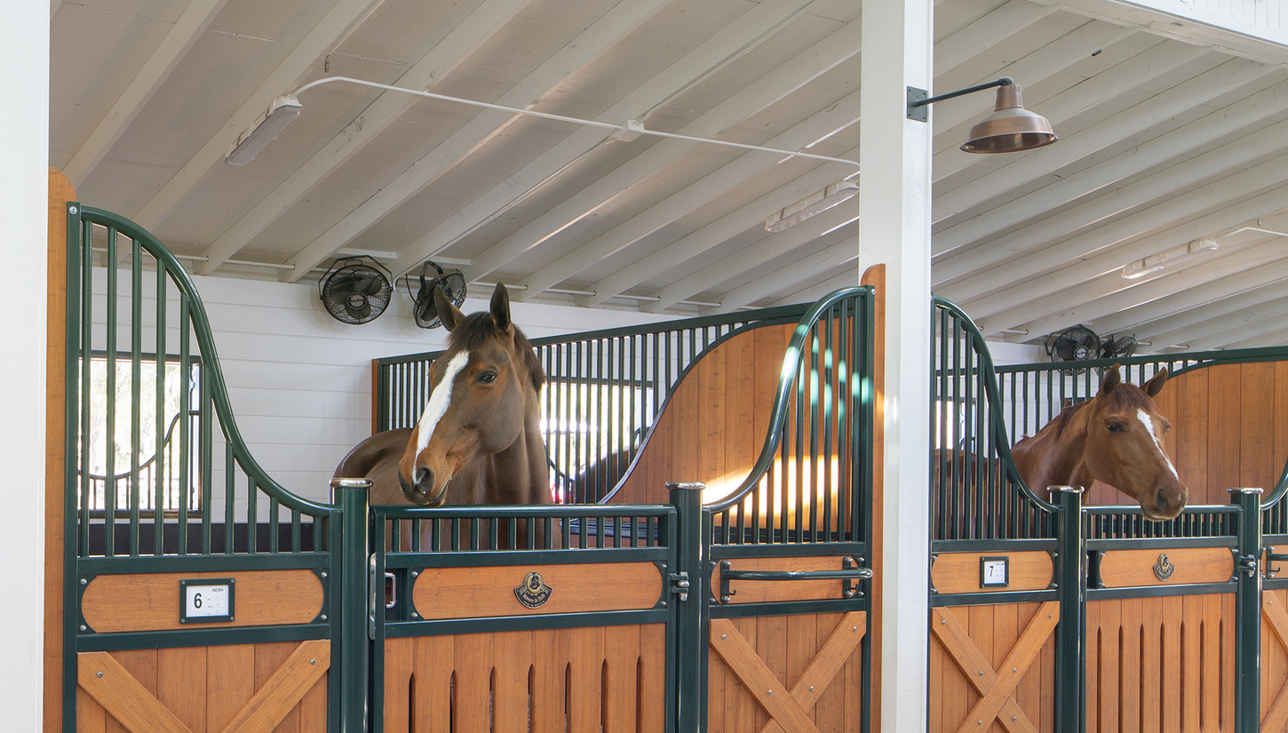 Gallery | Milberry Farm