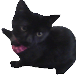 AD SPACE | jamesdavisdesigns