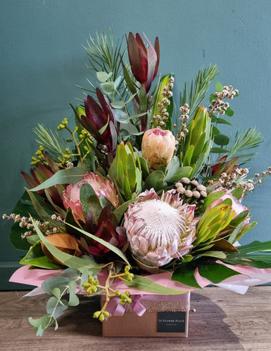 Box Arrangement of Proteas & Natives - Large | The Flower Place