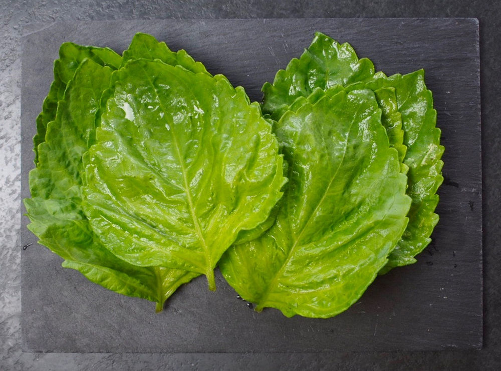 A Japanese leaf garden (pt 1).https://static.wixstatic.com/media/d60c54 ...