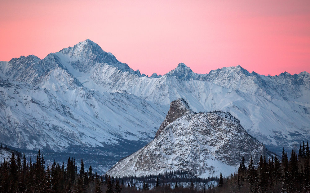 Artist Spotlight: Tanner Johnson