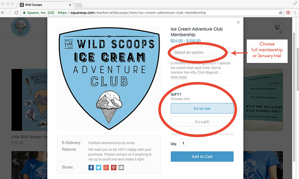 Wild Scoops Club gift guide
