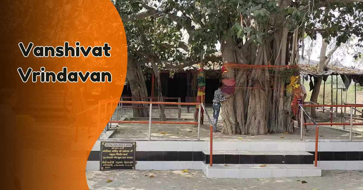 Vanshivat Vrindavan: The Sacred Banyan Tree of Divine Love | Vrindavan ...