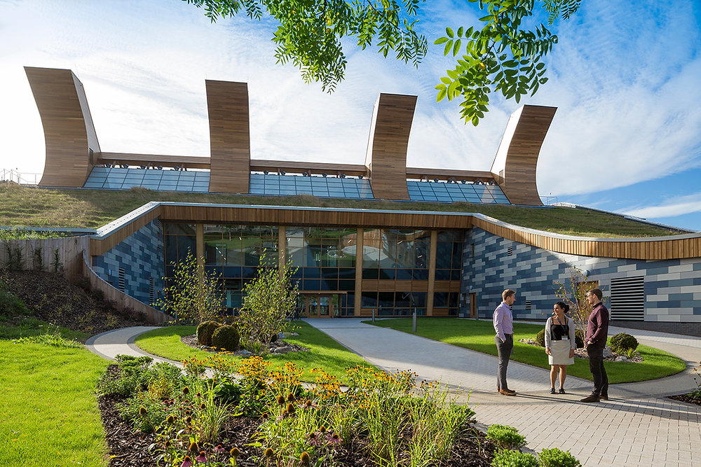 Building a Sustainable Future: The Rise of Green Buildings