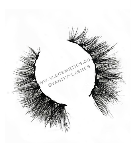 Feline Lash | Raysha.co