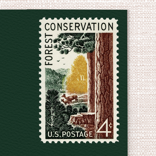 4¢ Forest Conservation - Pack of 25 unused stamps from 1958 ...