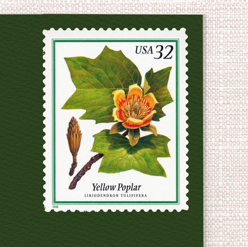 32¢ Flowering Trees - Pack of 25 unused stamps from 1998 ...