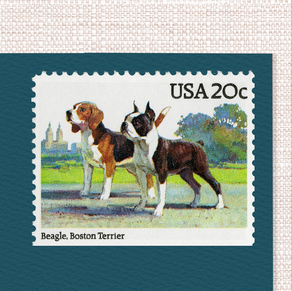 20¢ Dogs - Pack of 25 unused stamps from 1984 | vintagepostagestamps