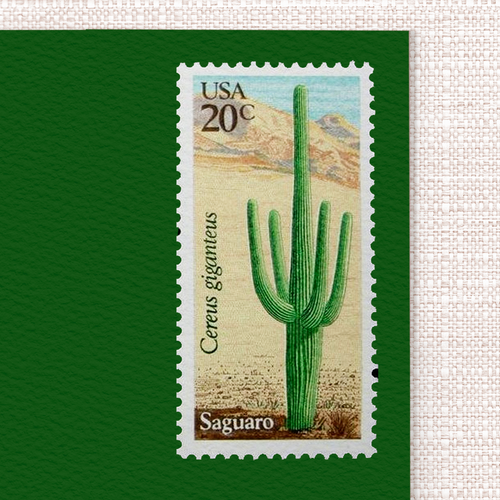 20¢ Desert Plants - 24 Stamps | vintagepostagestamps