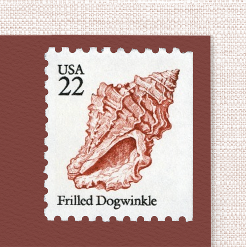 22¢ Seashells - Pack of 25 unused stamps from 1985 | vintagepostagestamps