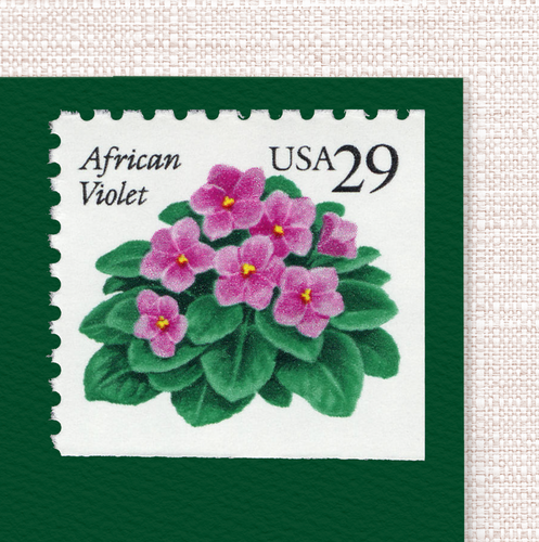29¢ African Violets - Pack of 25 unused stamps from 1993 ...