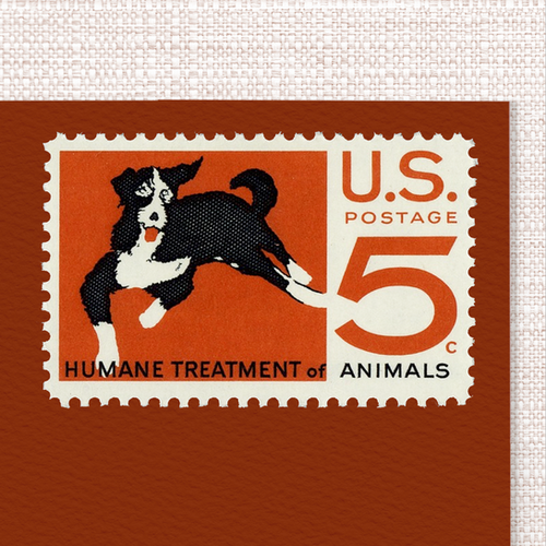 5¢ Humane Treatment of Animals - Dog - Pack of 25 unused stamps from ...