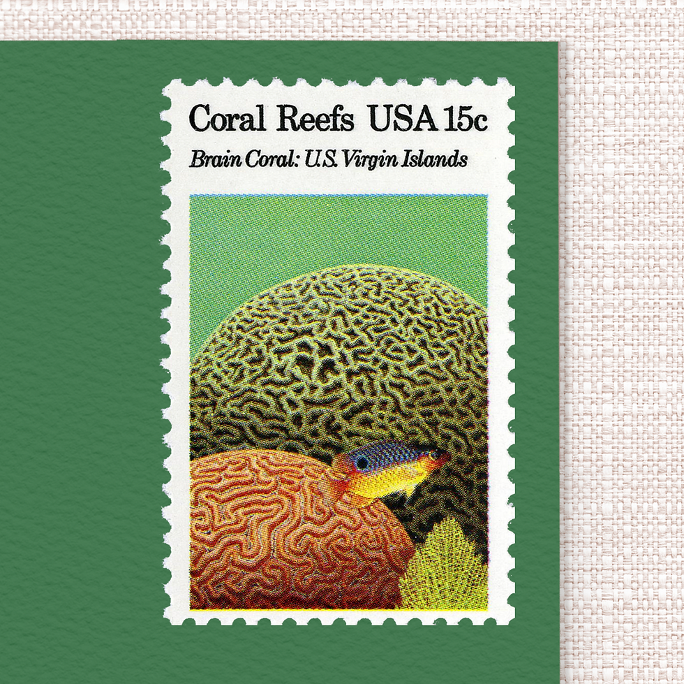 15¢ Coral Reefs - Pack of 25 unused stamps from 1980 | vintagepostagestamps
