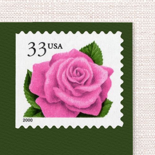 33¢ Coral Pink Rose - Pack of 25 unused stamps from 1999 ...