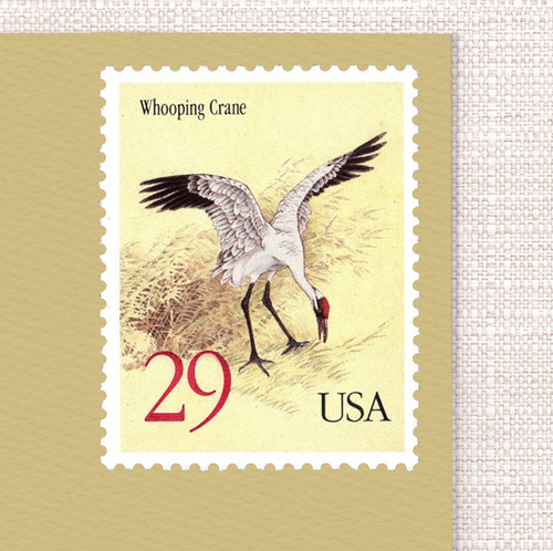 29¢ Cranes - Pack of 25 unused stamps from 1994 | Vintage Postage Stamps