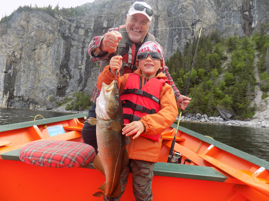 Unique Culinary Experiences & Food Tours in Newfoundland