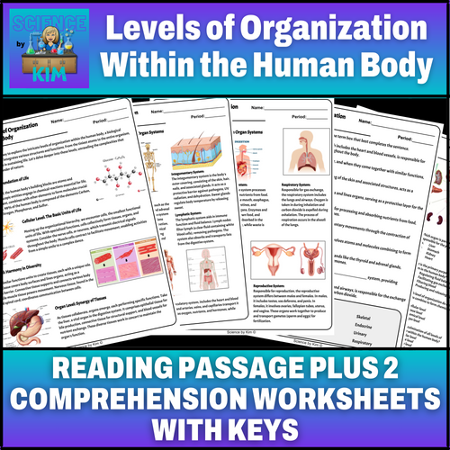 Levels of Organization Within The Human Body Reading Comprehension ...