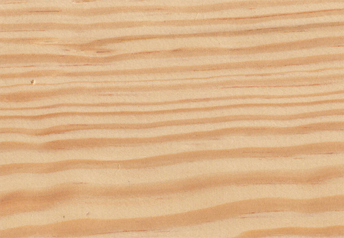 Southern Yellow Pine (sample) | mosstimber