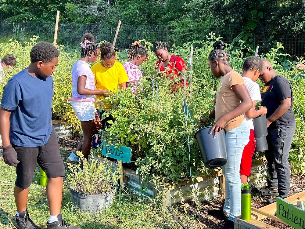 A Student's Journey: Learning and Growing with Our Farm to School Program