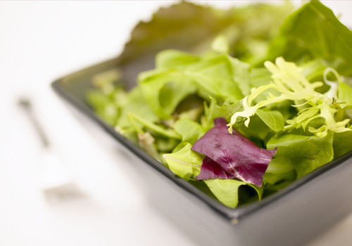 Spring Mix Lettuce | Naturehollow