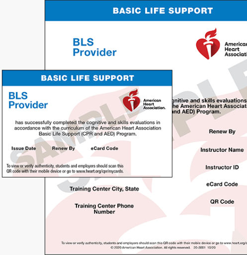 BLS Skills Session