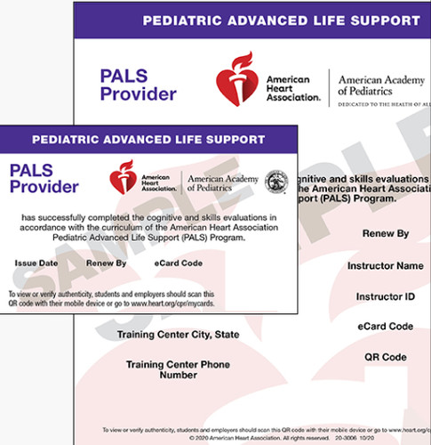 PALS Skills Session | Nationwide CPR