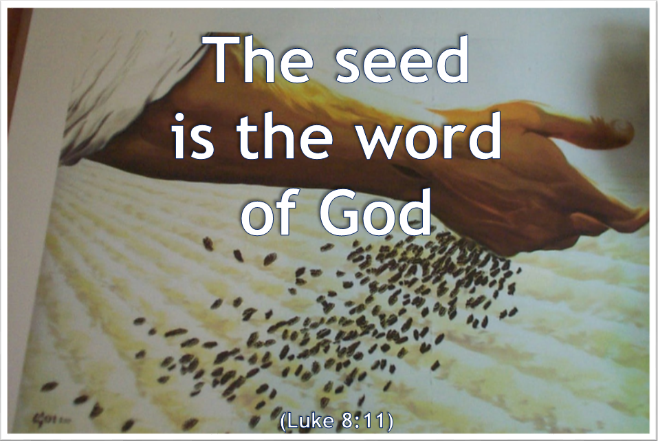 Searching for the Right Seed