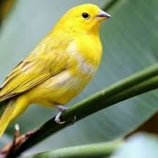 CandyDoll Elizabeta S Set 010jpg: The Best Photos of Elizabeta S in Leotards and Swimsuits ...