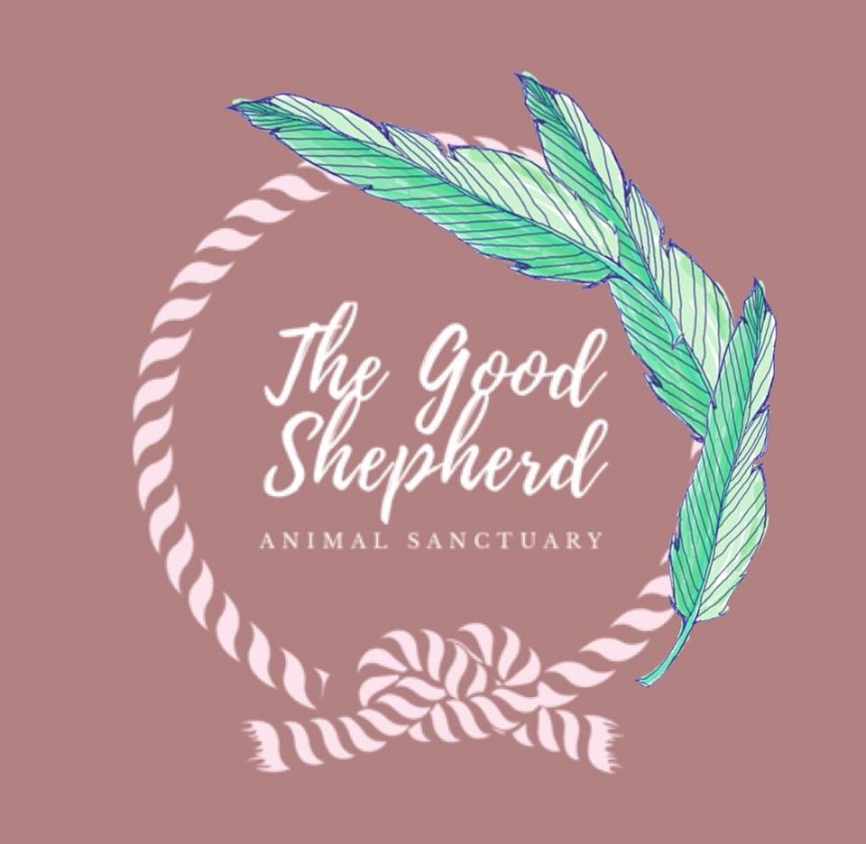 Farm Sanctuary | The Good Shepherd Animal Sanctuary | United States