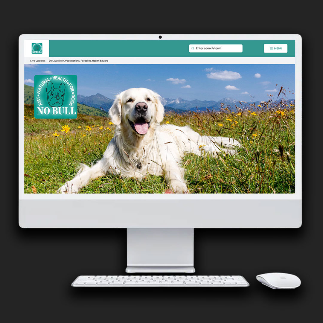 No Bull Dog | SFWEB Portfolio
