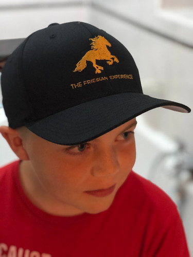 Baseball Cap | Friesian Experience