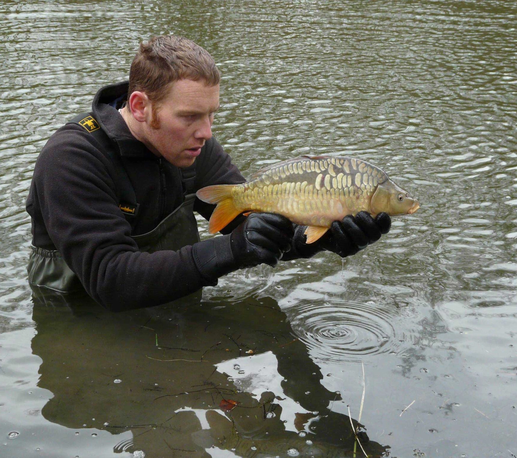 Countryside Management Consultancy Services | Reading