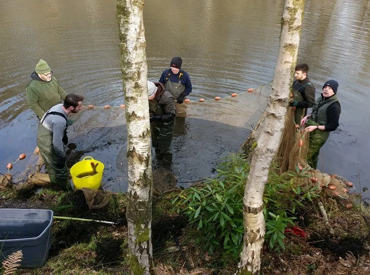 Countryside Management Consultancy Services | Reading