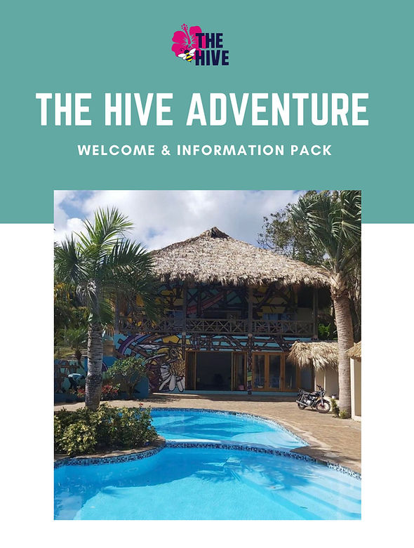 WELCOME | The Hive Adventure