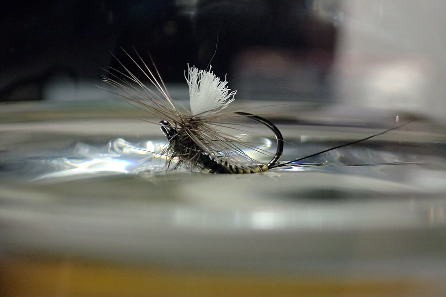 Montage de mouche