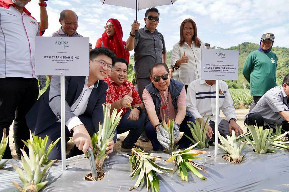 Kerjasama swasta, kerajaan mampu wujudkan usahawan tani