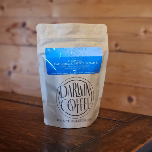 Darwin's 'Leatherback' - Mexican Grapos (De-caffeinated) | Darwin Coffee