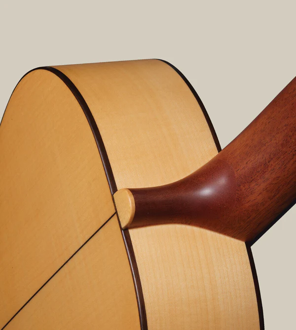 Altamira Torres (Entry Level) | The Guitar Studio