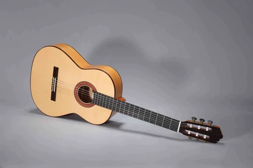 Altamira N700F | The Guitar Studio