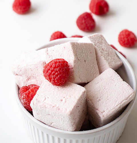 Raspberry Marshmallow | Great Day Mallow