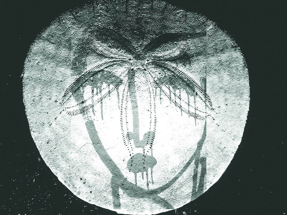 She is Gone (Part 1)